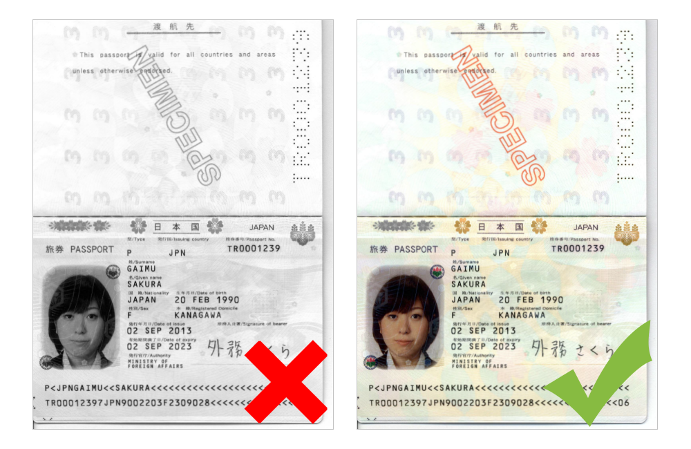 Correct Passport Photo Vrogue co